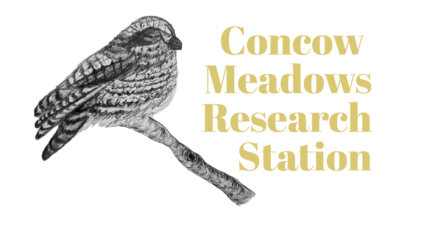 Concow Meadow's Research Station - Partners 2: Single Page Layout ...