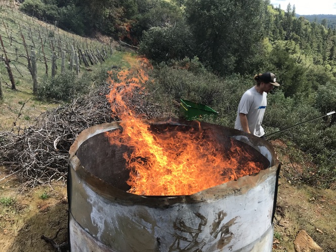 Workforce - Biochar Coalition